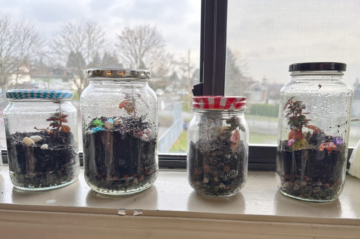 Classmate | Vol. 71 🪴 A Split Class Terrarium Collaboration
